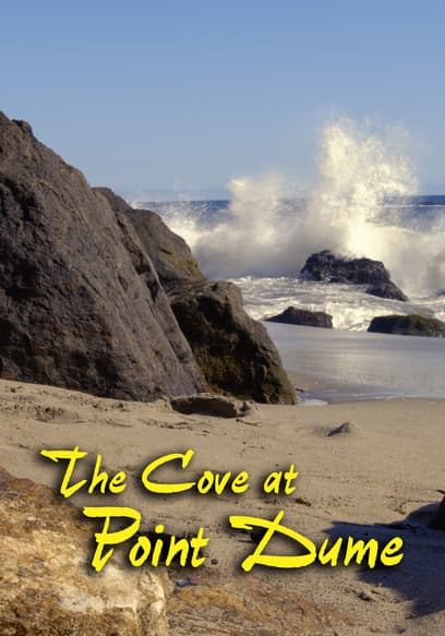 Watch The Cove at Point Dume (2023) - Free Movies | Tubi