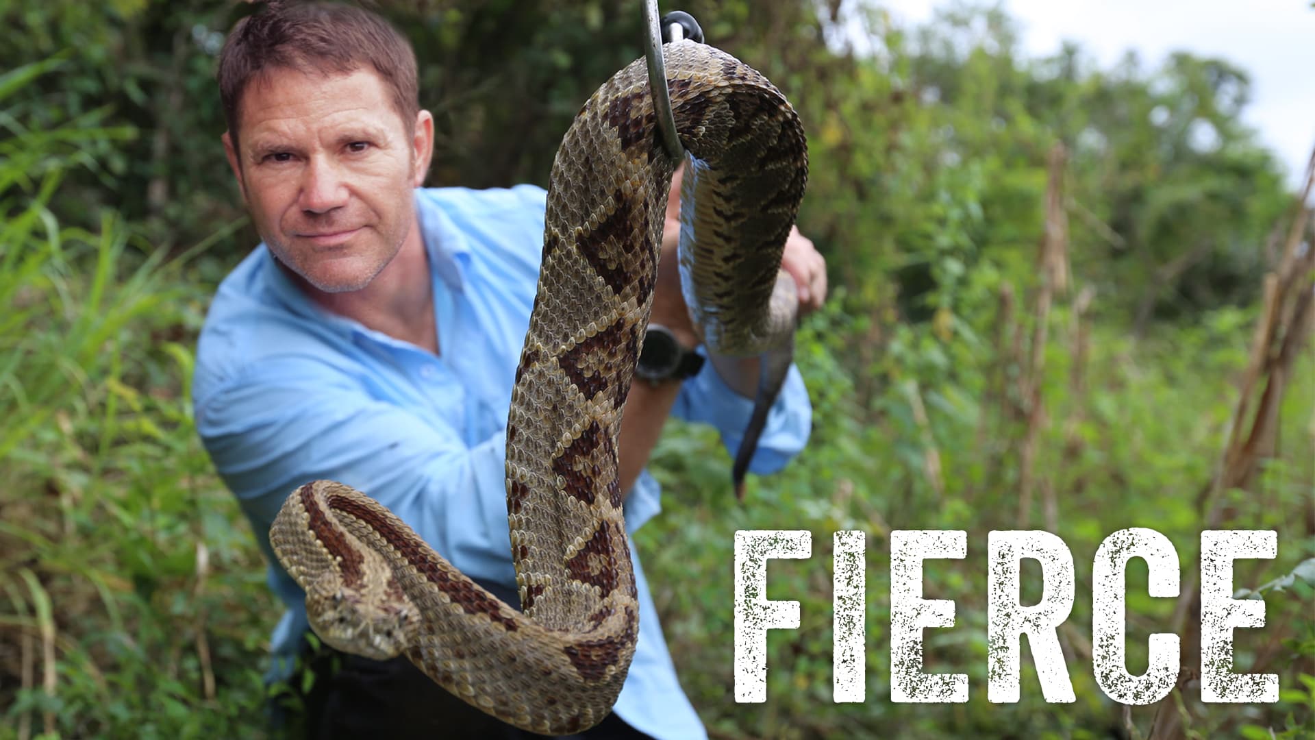 Watch Fierce - Free TV Shows | Tubi