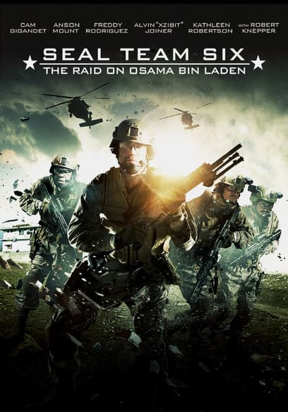Watch Seal Team Six: The Raid on Osama Bin Laden (2013 - Free Movies | Tubi