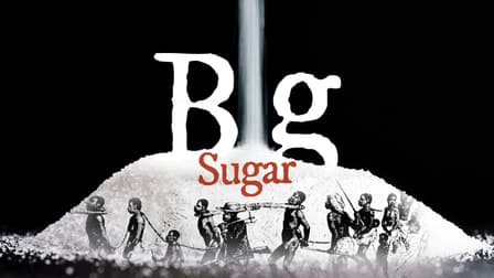 Watch Big Sugar - Free TV Shows | Tubi