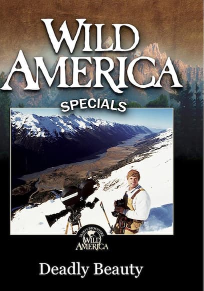 Watch Wild America Specials: Deadly Beauty (2008) - Free Movies | Tubi