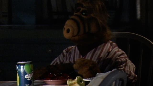 Watch ALF S02:E05 - Prime Time - Free TV Shows | Tubi