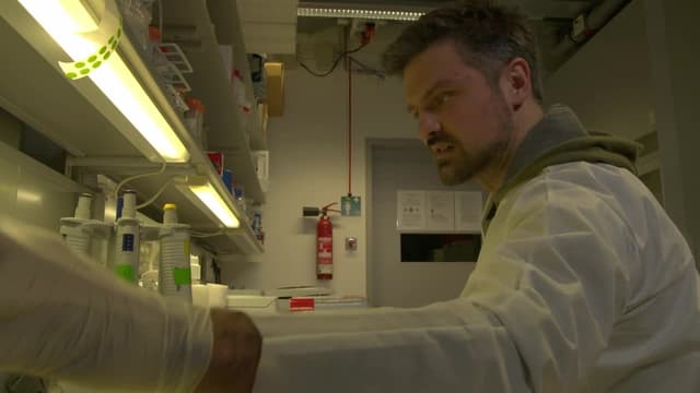 Watch Leaps in Evolution S01:E03 - And Finally, Intelligence! - Free TV ...