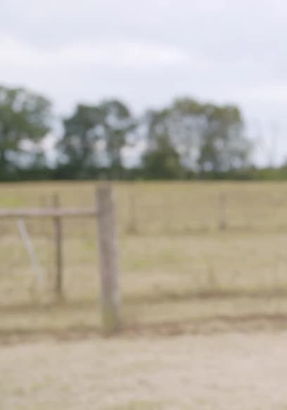 Watch The Cowboy Way S01:E09 - New Beginnings - Free TV Shows | Tubi