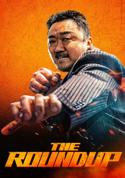 Watch The Roundup (2022) - Free Movies | Tubi