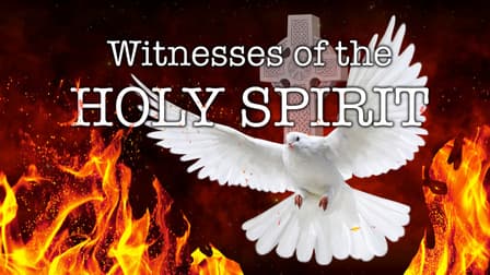Watch Witnesses of the Holy Spirit - Free TV Shows | Tubi