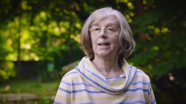 Watch Shoreline Detectives - Free TV Shows | Tubi