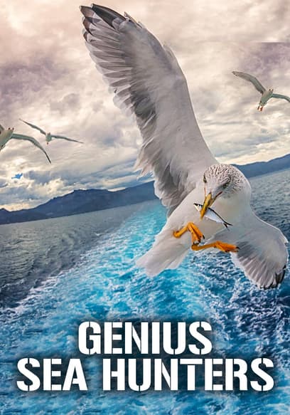Watch Genius Sea Hunters - Free TV Shows | Tubi