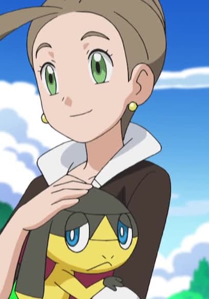 Watch Pokémon the Series: Black & White S16:E37 - The Journalist From ...
