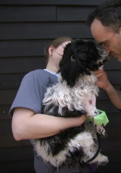 Watch The Bionic Vet S01:E06 - Episode 6 - Free TV Shows | Tubi