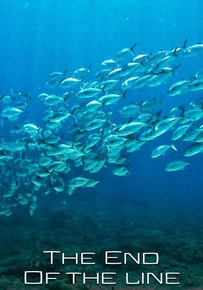 Watch The End of the Line: The Destruction of Our Seas - Free Movies | Tubi