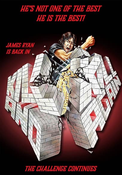 Watch Kill and Kill Again (1981) - Free Movies | Tubi