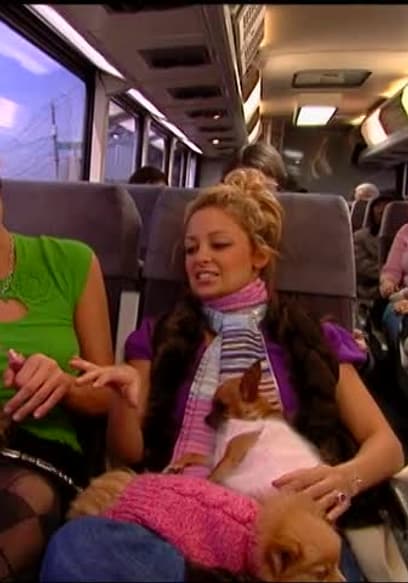 Watch The Simple Life S03:E06 - Broadcasting - Free TV Shows | Tubi