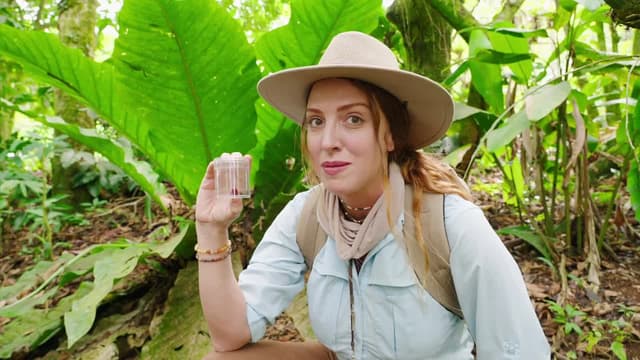 Watch Brave Wilderness S10:E10 - Ultimate Frog Scavenger Hunt! / Cold ...