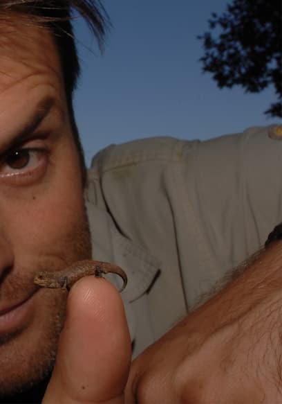 Watch Nick Baker’s Weird Creatures S02:E05 - The Inv - Free TV Shows | Tubi