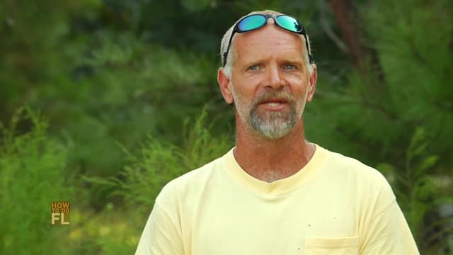 Watch How to Do Florida S05:E01 - How to Do Deadhead Logging - Free TV ...