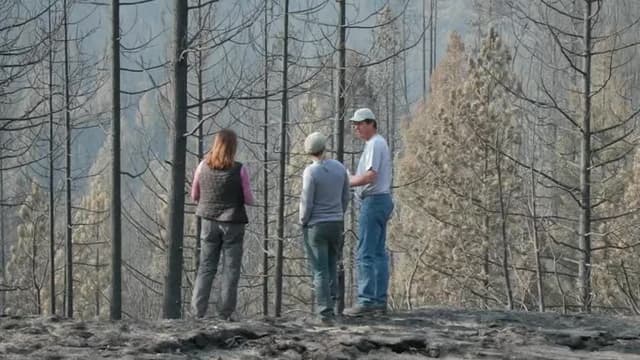 Watch Breakthrough - Free TV Shows | Tubi