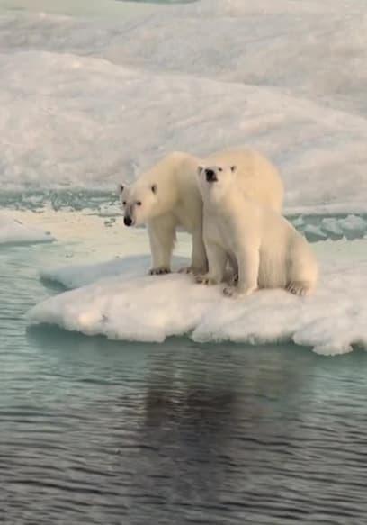 Watch Scenic Nature: Seasons S01:E02 - Scenic Nature: Winter - Free TV ...