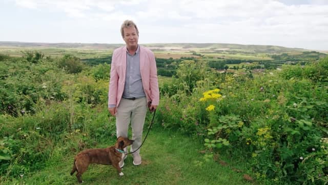 Watch Walks With My Dog - Free TV Shows | Tubi