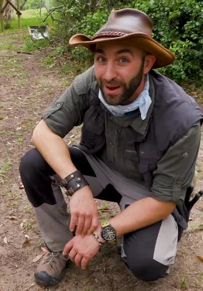 Watch Brave Wilderness S07:E10 - Feeding a Cheetah - Free TV Shows | Tubi