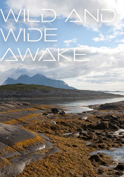 Watch Wild & Wide Awake - Spring Across Europe - Free TV Shows | Tubi