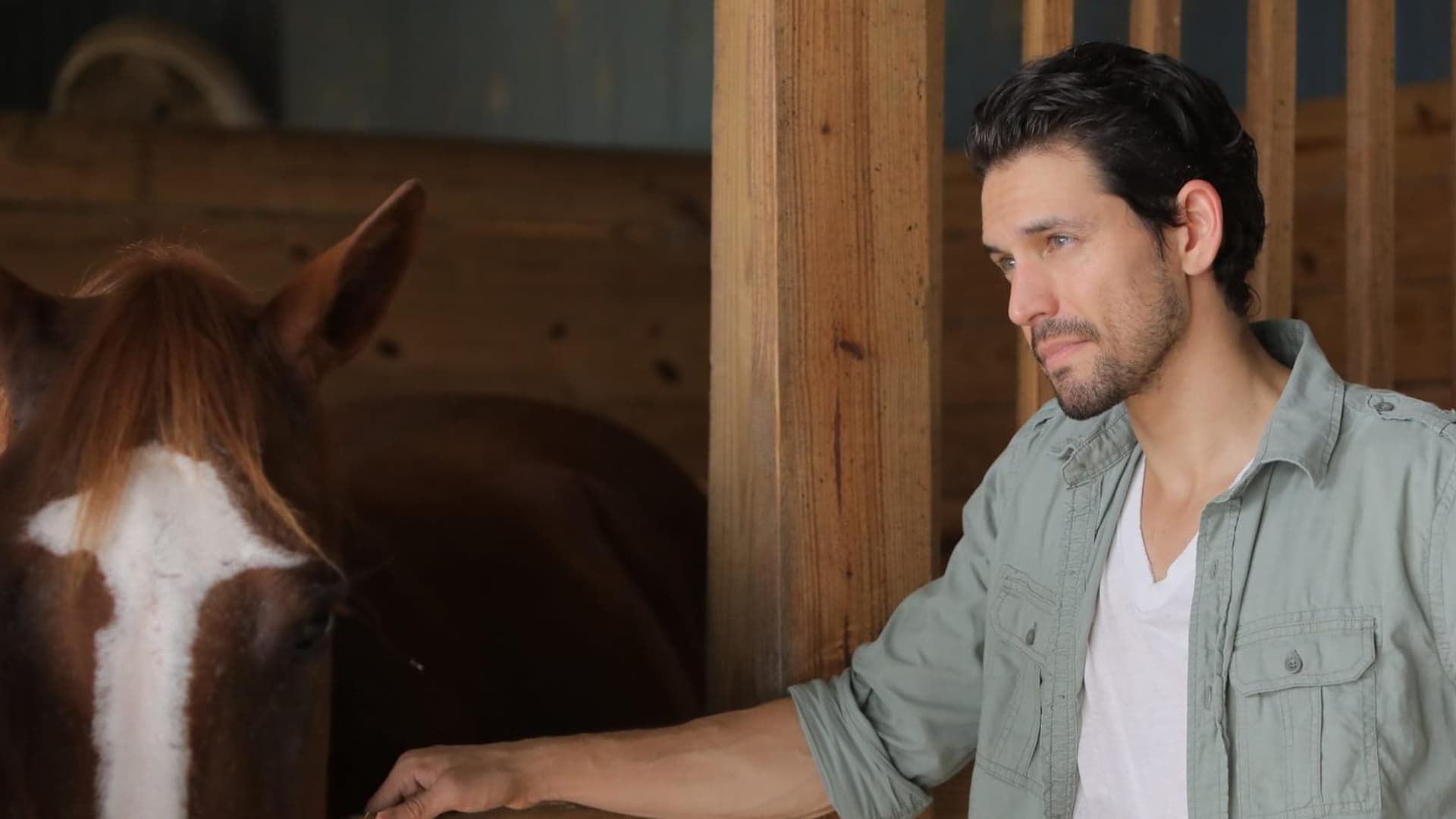 Watch Urban Country (2018) - Free Movies | Tubi