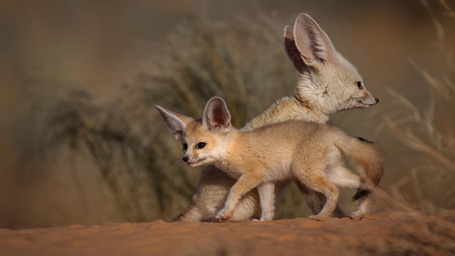 Watch Secrets of the Mediterranean - Free TV Shows | Tubi