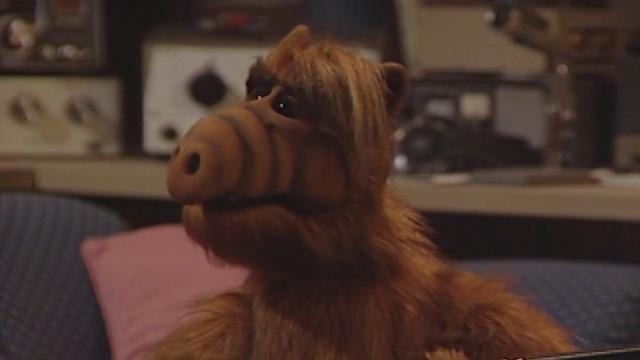 Watch ALF on ALF S01:E04 - Some Enchanted Evening - Free TV Shows | Tubi