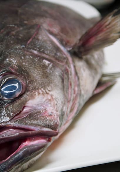 Watch Food Safari: Water S01:E03 - The Whole Fish the Whole Fish the ...