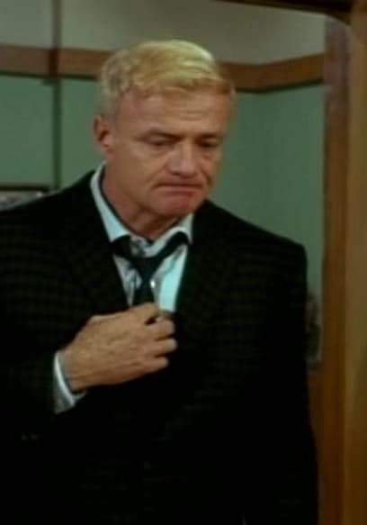 Watch Family Affair S02:E28 - The Beasley Story - Free TV Shows | Tubi