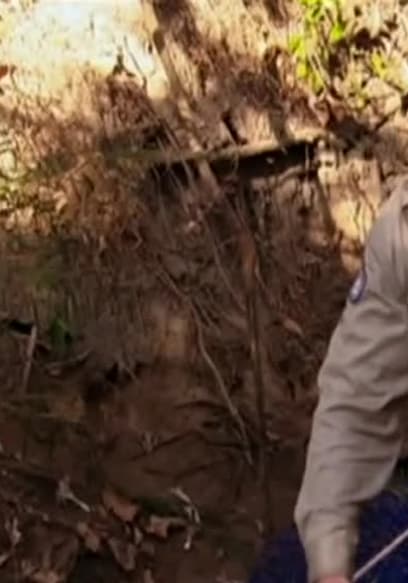 Watch The Crocodile Hunter S06:E06 - Search for the - Free TV Shows | Tubi