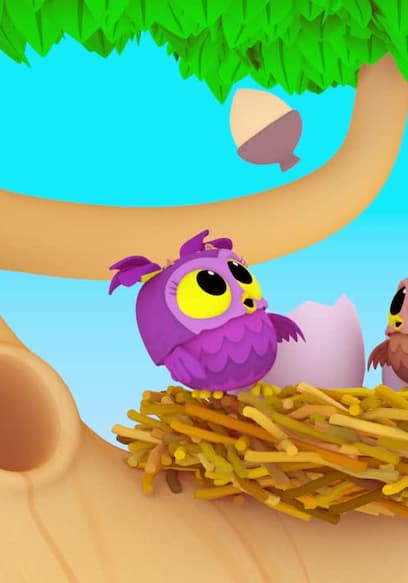 Watch Hoot, Scoot & What S01:E04 - RAIN - Free TV Shows | Tubi