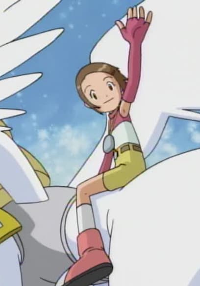Watch Digimon Adventure S02:E34 - Destiny in Doubt - Free TV Shows | Tubi