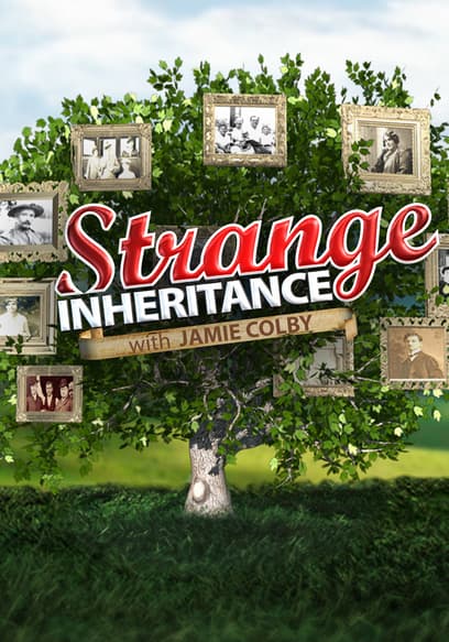 Watch Strange Inheritance S02:E24 - Picture This! - Free TV Shows | Tubi