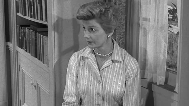 Watch Leave It to Beaver S02:E25 - Beaver and Gilbert - Free TV Shows ...
