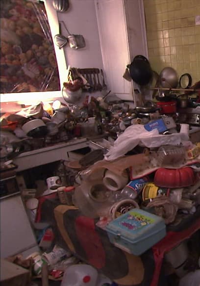 Watch Hoarders S04:E10 - Lisa / Bertha - Free TV Shows | Tubi