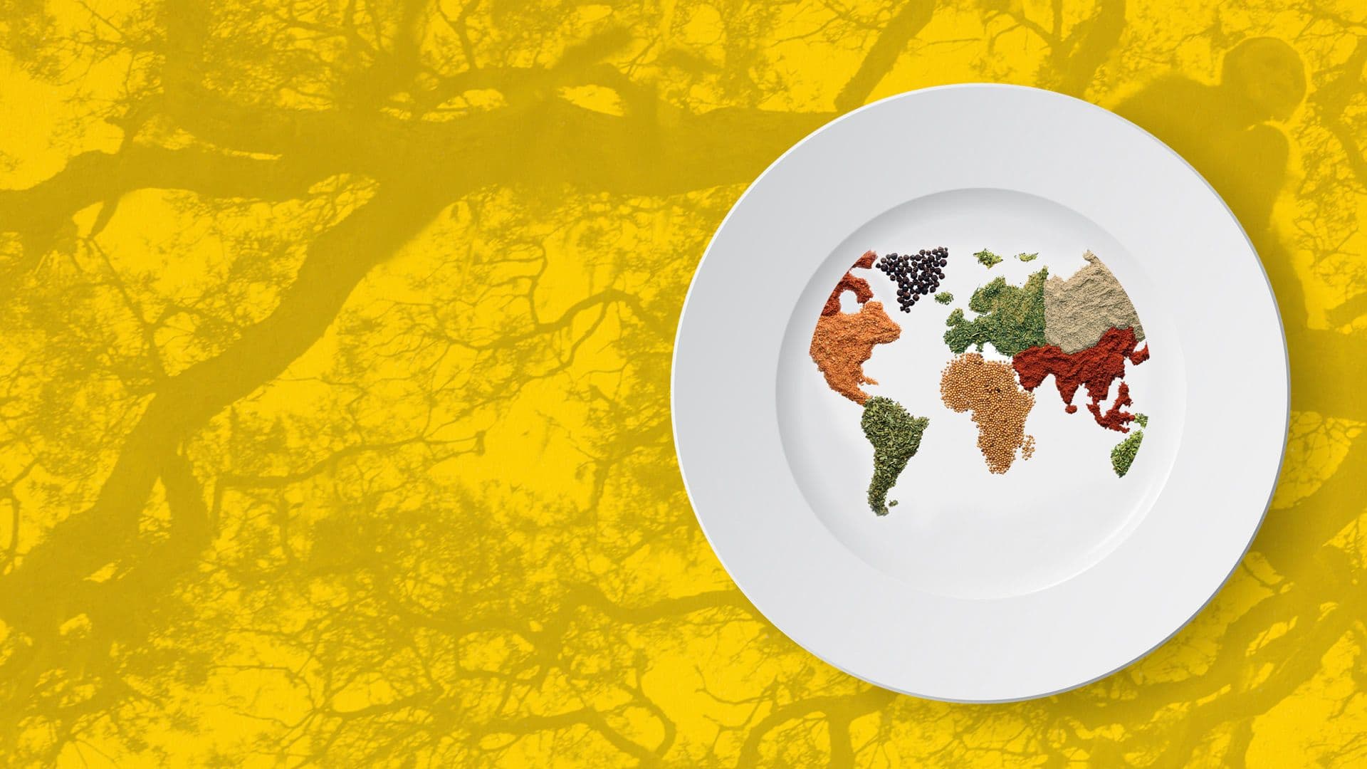 Watch The History of Food - Free TV Shows | Tubi