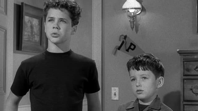 Watch Leave It to Beaver S01:E22 - The Perfect Father - Free TV Shows ...