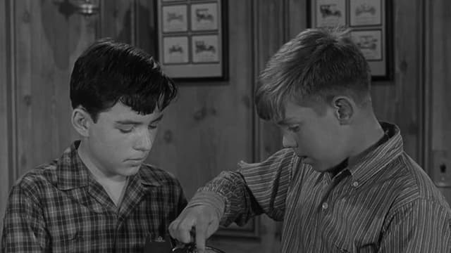 Watch Leave It to Beaver S05:E24 - Wally Stays at Lumpy's - Free TV ...