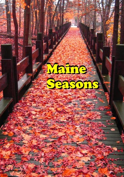 Watch Maine Seasons (2022) - Free Movies | Tubi