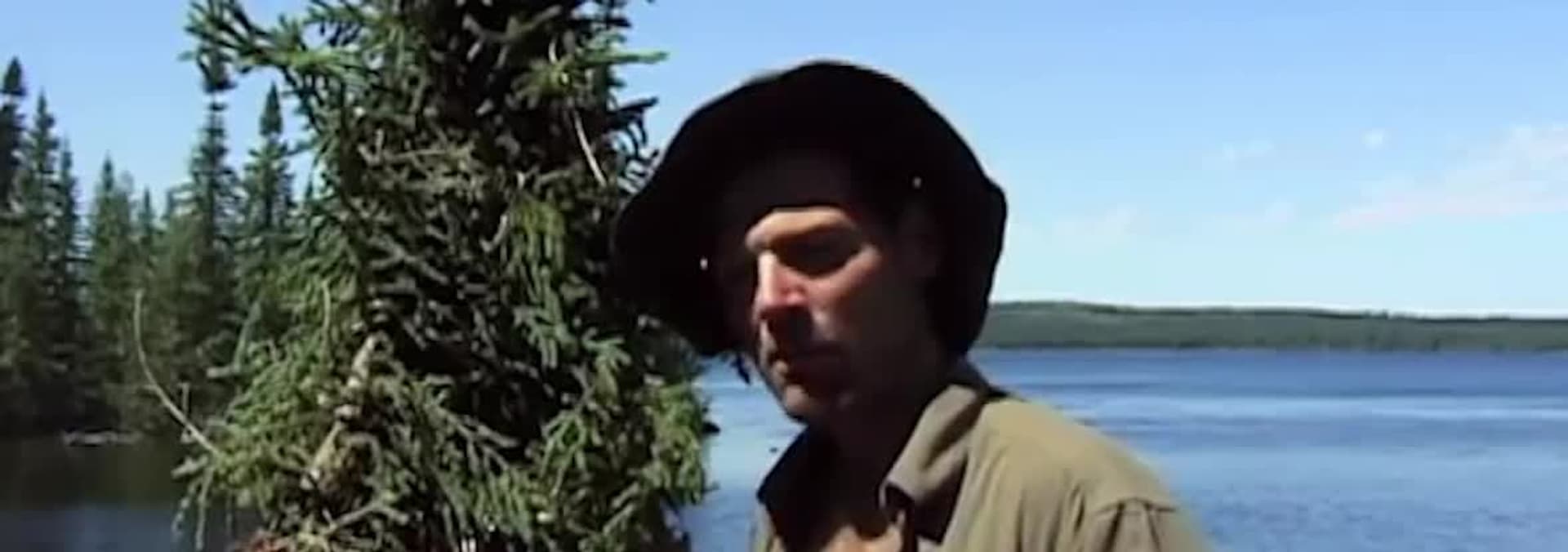 Watch Survivorman S01:E11 - The Lost Pilot Summer - Free TV Shows | Tubi