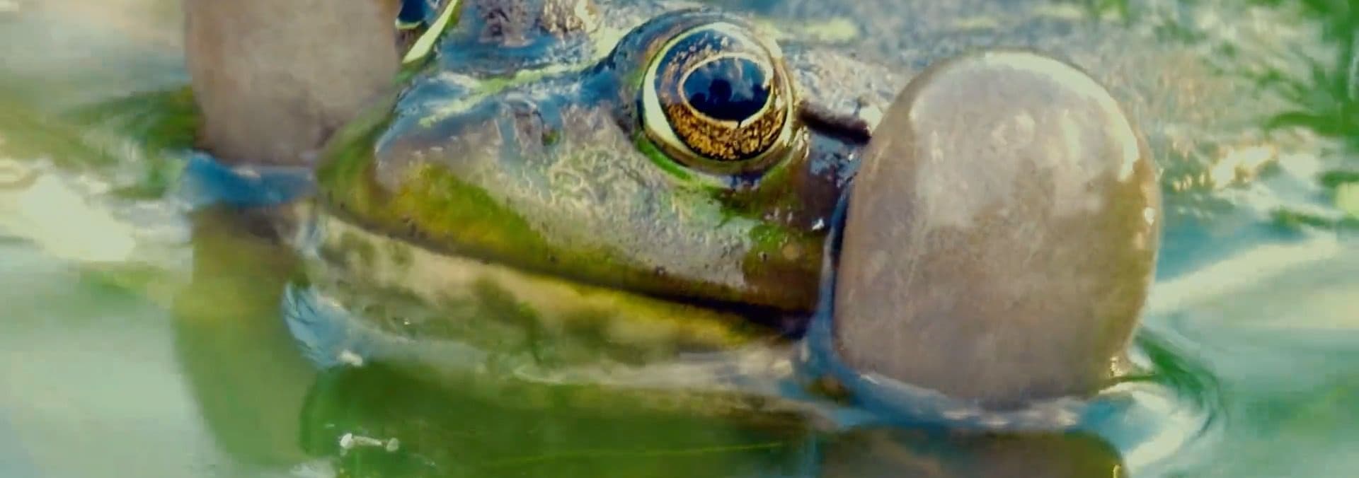 Watch Deep Time History S01:E02 - The Age of Discovery - Free TV Shows ...