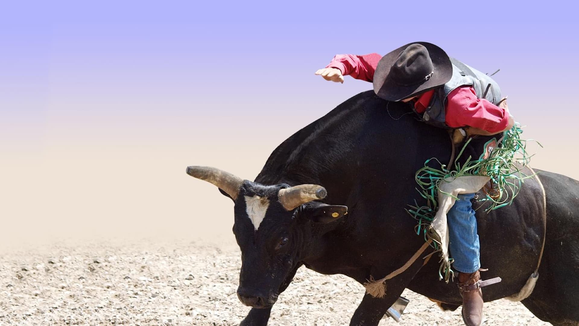Watch Bull Riders' Showdown - Free TV Shows | Tubi
