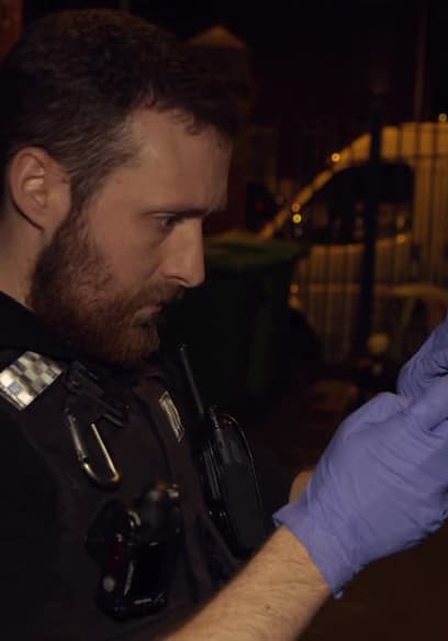 Watch The Cops S03:E11 - Episode 11 - Free TV Shows | Tubi