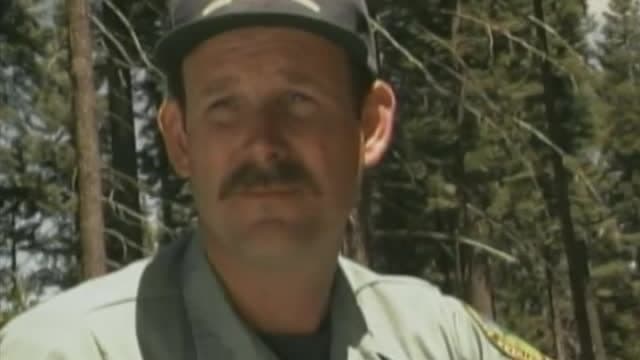 Watch Hard Hat Harry S01:E06 - Giant Construction Equipment - Free TV ...