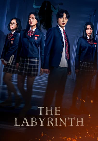 Watch The Labyrinth (2021) - Free Movies | Tubi