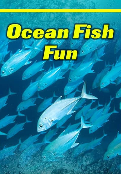 Watch Ocean Fish Fun (2020) - Free Movies | Tubi