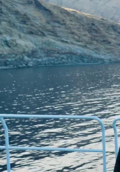 Watch Brave Wilderness S08:E10 - Sting King of the D - Free TV Shows | Tubi