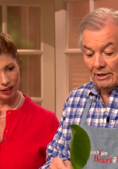 Watch Jacques Pépin: Heart & Soul S01:E26 - Menu Mem - Free TV Shows | Tubi