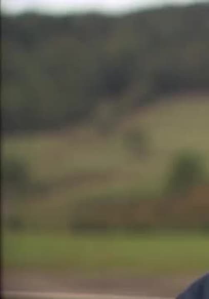 Watch MonsterQuest S04:E07 - Lizard Monster - Free TV Shows | Tubi